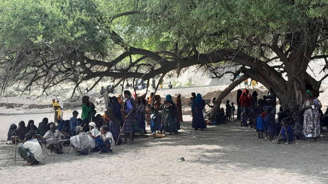 18,000 displaced in Afar amid reports of continued Tigray forces ...